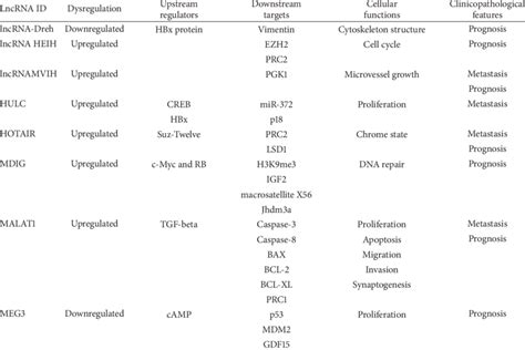 Long Noncoding Rna Expressed In The Hcc Download Table