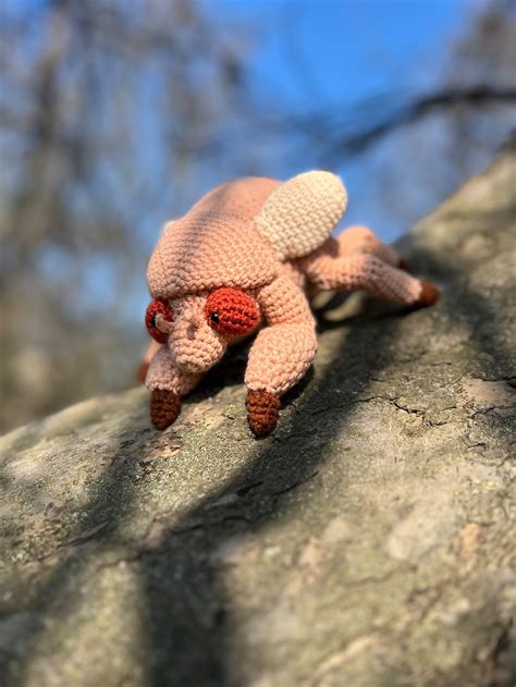 Cicada Nymph Crochet Pattern Amigurumi Cicada Nymph Tutorial Etsy