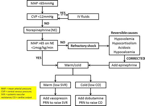 Inotropes And Vasopressors Doses Indications 56 Off