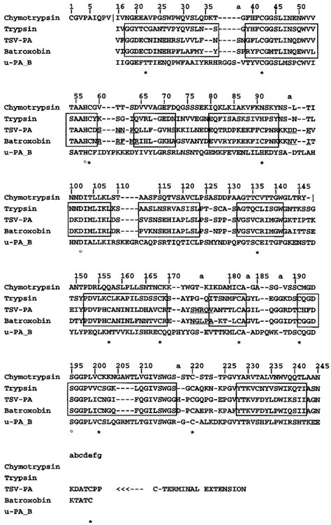 nomenclature and structural alignment of the amino acid sequence of