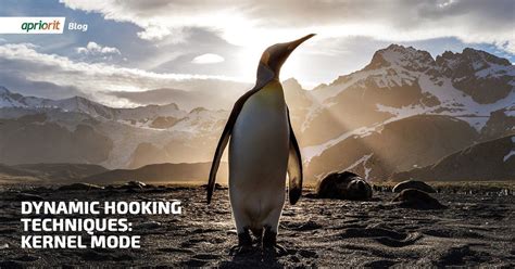 hooking linux kernel functions part 1 looking for the perfect