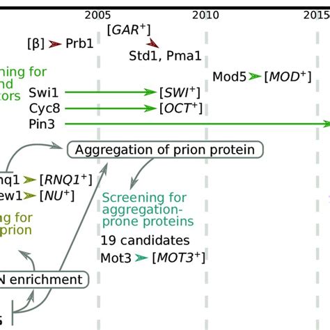 Relationships Between Discoveries Of Yeast Prions And Corresponding