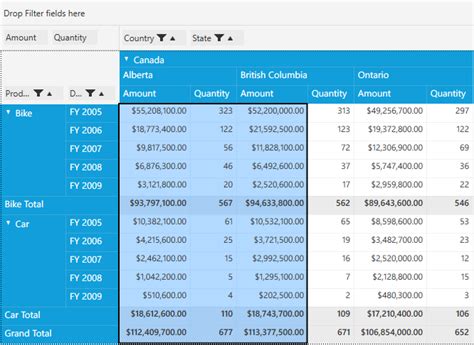 cell selection in wpf pivot grid control syncfusion