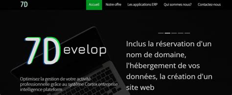 build a professionnal website by rurufrom7dev fiverr