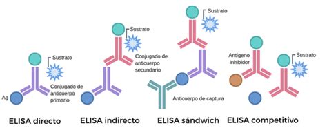 Diagrama De Elisa Directo