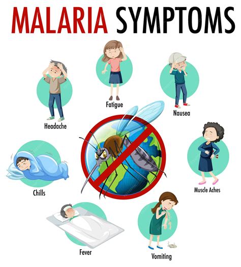 Infográfico De Informações Sobre Sintomas De Malária Vetor Grátis