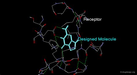 Drug Design Drug Design Org