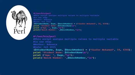 best programming language for web development in 2021 and beyond