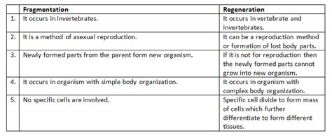 What Is The Difference Between Fragmentation And Rege