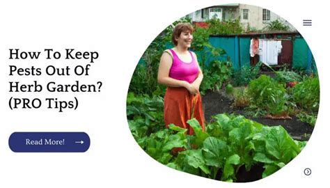 How To Keep Pests Out Of Herb Garden Pro Tips Unified Garden