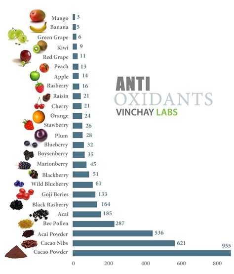 Antioxidants Food Guide Vinchay Labs Anti Oxidant Foods Diet And