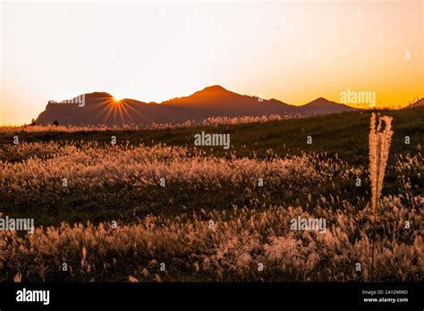 Golden Hour Fine Day Evening Time In Autumn The Sunlight Was