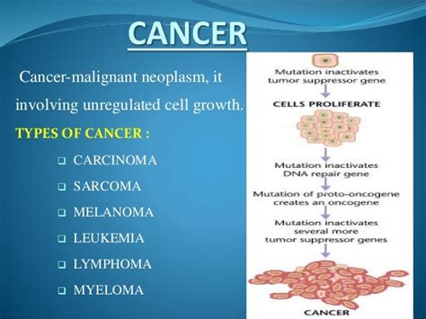 Cancer Types