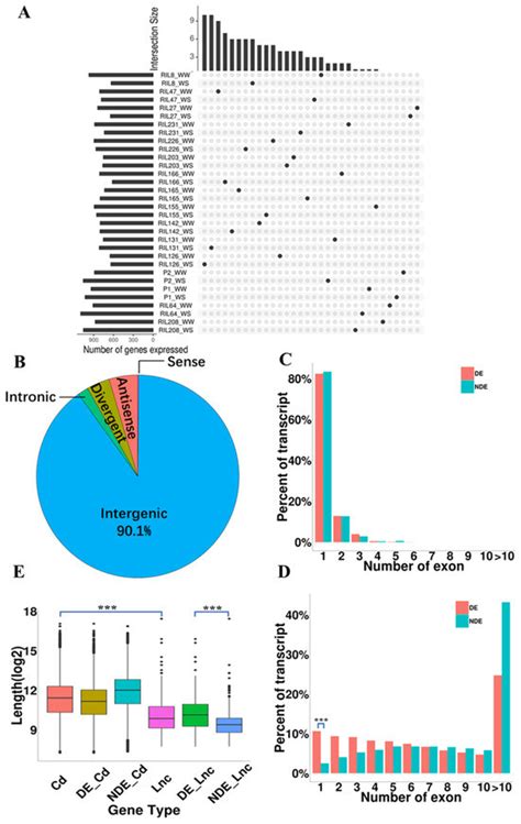 Ijms Free Full Text Identification And Functional Analysis Of