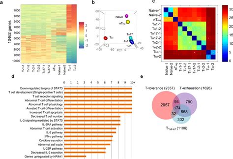 Comparison Of Gene Expression Profiles Among Cd4⁺ T Cell Subsets