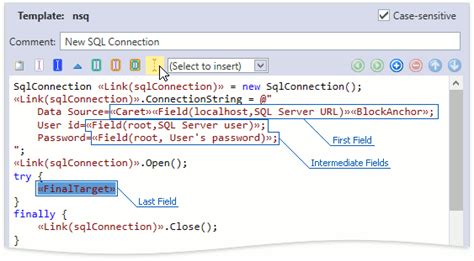 providing input fields coderush devexpress documentation
