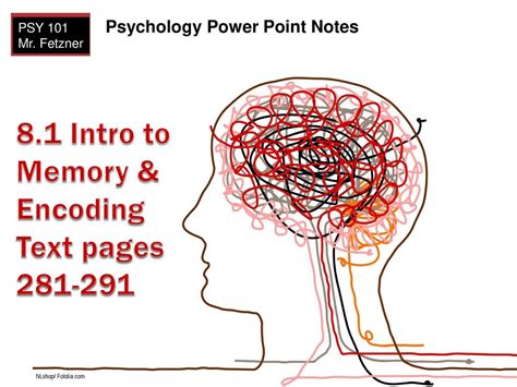 8 1 Intro To Memory And Encoding Ppt Download