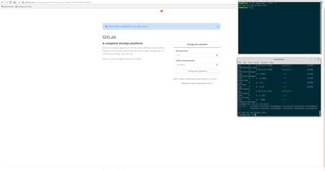 403 forbidden error on gitlab fresh installation self managed