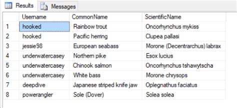 sql server graph databases part 2 querying data in a graph database