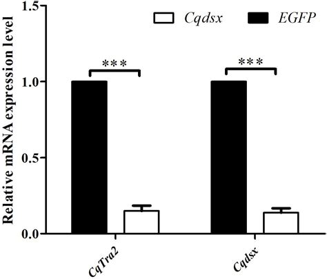 Frontiers Molecular Characterization And Expression Profiling Of
