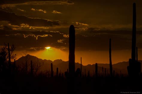 Sunset Saguaro National Park Saguaro National Park West … Flickr