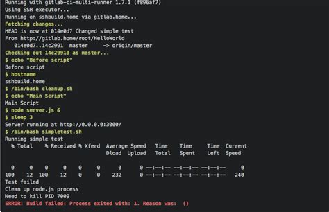 node js config js github lorenwest node config node js application