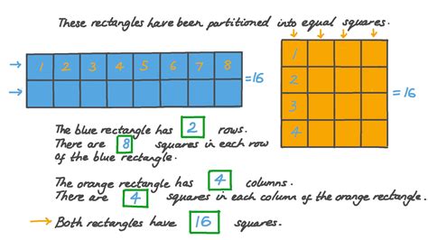 what are rows and columns