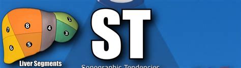 Couinauds Liver Segments Sonographic Tendencies