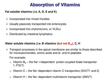 Ppt The Small Intestine Absorption 2 Lecture 5 Powerpoint