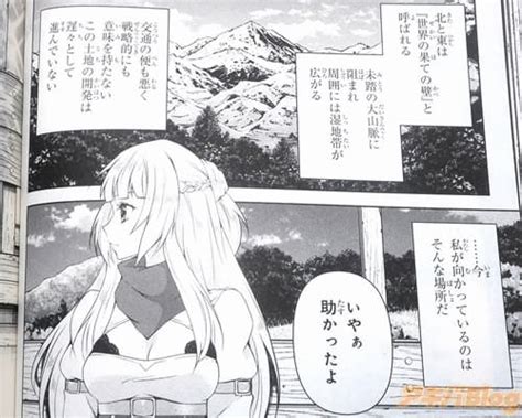 真の仲間になれなかったお姫様は、辺境でスローライフすることにしました1巻 「これは、リットがレッドに再会する以前の物語」 アキバblog
