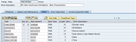 implementing data warehouse infoobjects part 1 abap dictionary