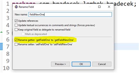 java how to rename a field managed by lombok stack overflow