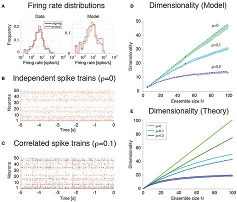 Dimensionality And Correlation A Empirical Single Neuron Firing Rate