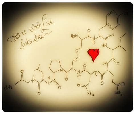 oxytocin love and what it looks like for the body by