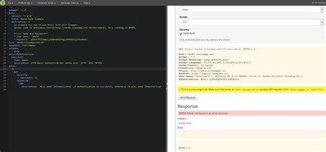 basic auth header not sent swagger stack overflow