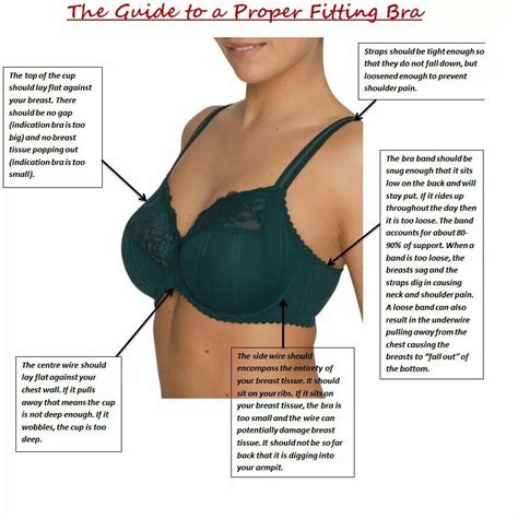 How To Fit Correct Bra Size Saturnina Tillman