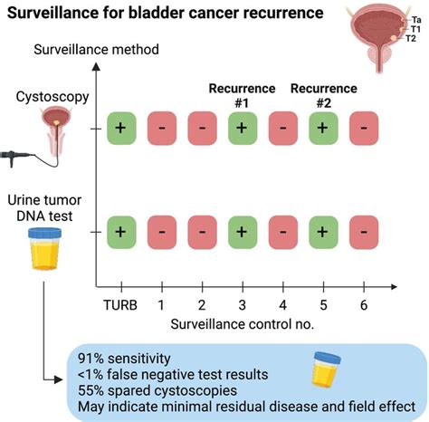 Distinct Longitudinal Patterns Of Urine Tumor Dna In Patients