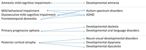 Neurodevelopmental And Neurodegenerative Similarities And Interactions