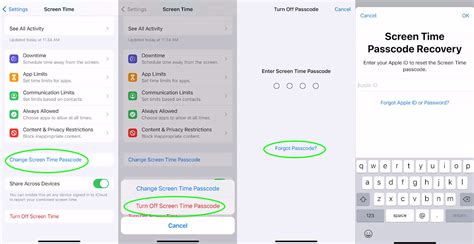 [3 Methods] How To Remove Screen Time From Iphone