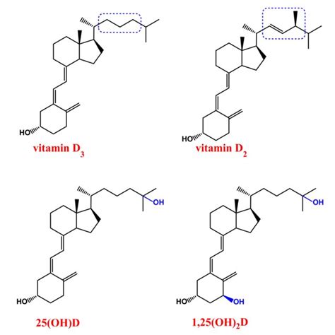 Chemical Structures Of Vitamin D3 D2 25 Oh D And 1 25 Oh 2d