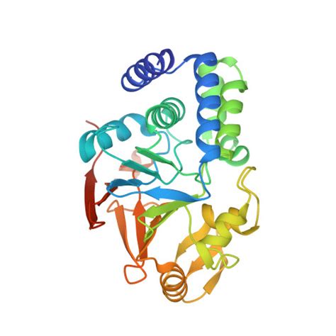 Rcsb Pdb 4lac Crystal Structure Of Protein Phosphatase 2a Pp2a And