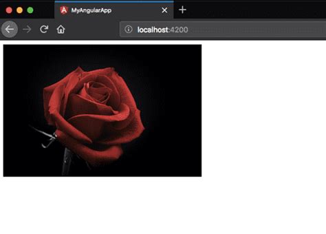angular 8 attribute binding tutorial reactgo