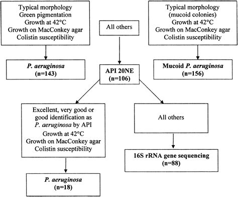Gram Negative Rods Algorithm
