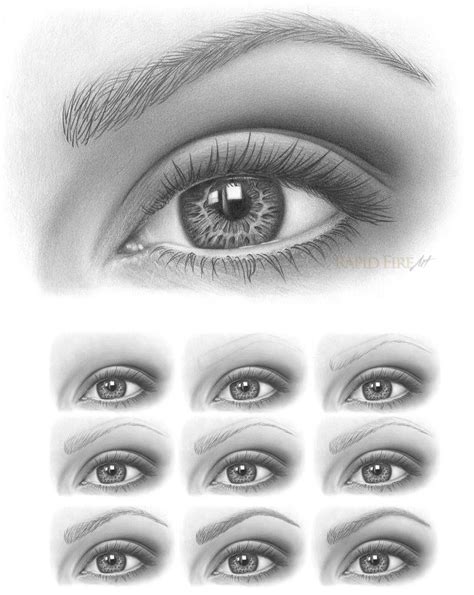 Detailed Tutorial How To Draw Eyebrows 2016 12
