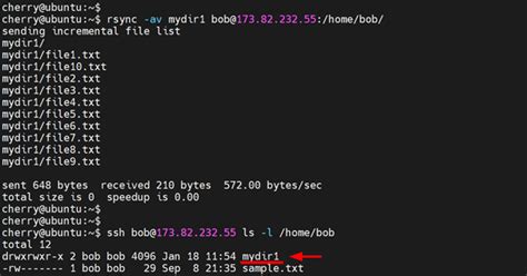 How To Use Rsync On Linux To Synchronize Local And Remote Directories