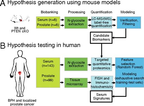 Cancer Genetics Guided Discovery Of Serum Biomarker Signatures For