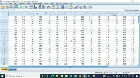 How To Create Demographic Profile Table In Spss Youtube