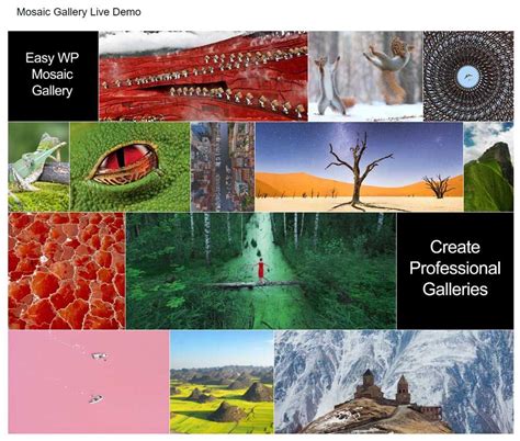 easy mosaic gallery wordpress plugin by 6senseweb codester