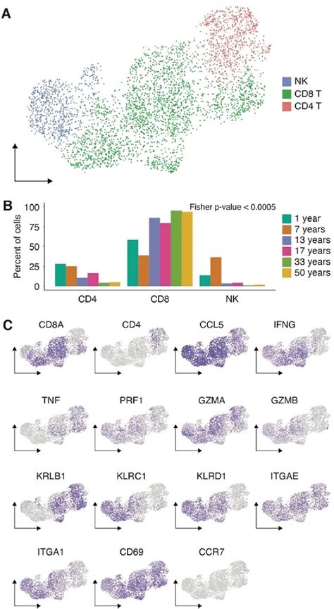 The Primary Immune Cell Population In The Nm Has An Anti Viral