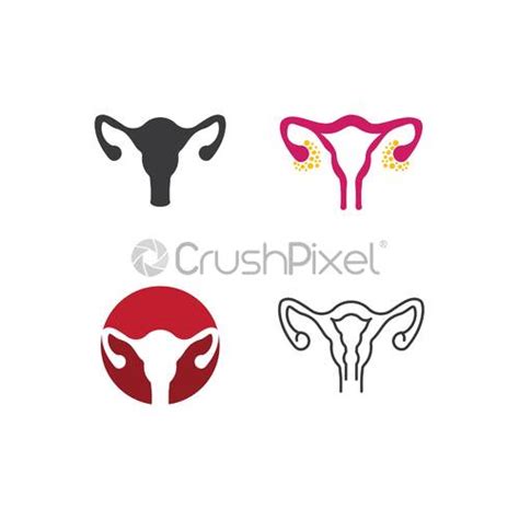 Uterus Clipart Womb Vagina Ovary Cervix Woman Reproductive System
